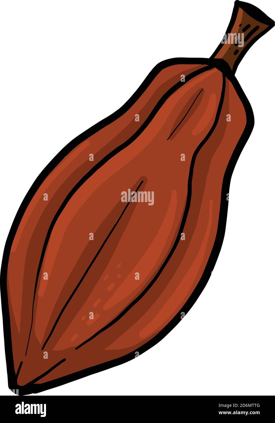 Brown cacao bean, illustration, vector on white background Stock Vector ...