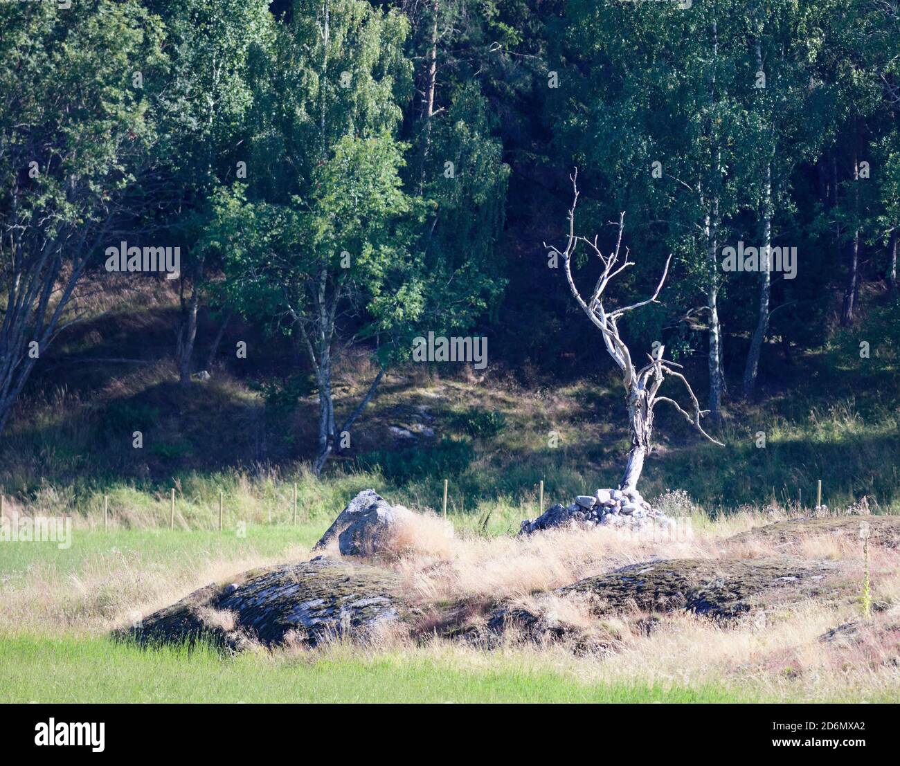 Runsten hi-res stock photography and images - Alamy