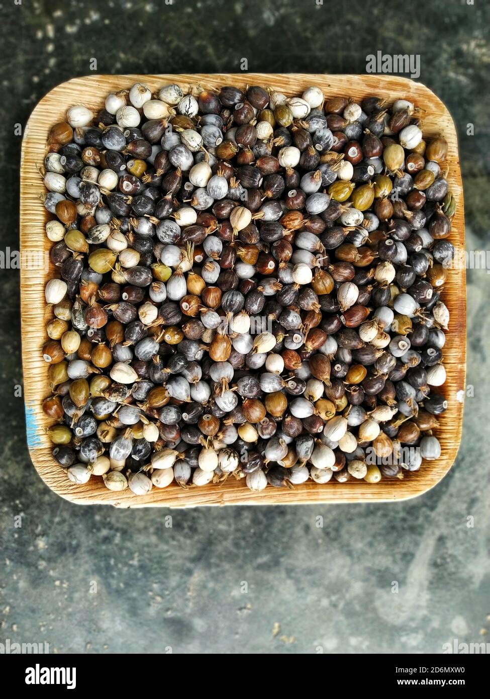 Jobs tears seeds hi-res stock photography and images - Alamy