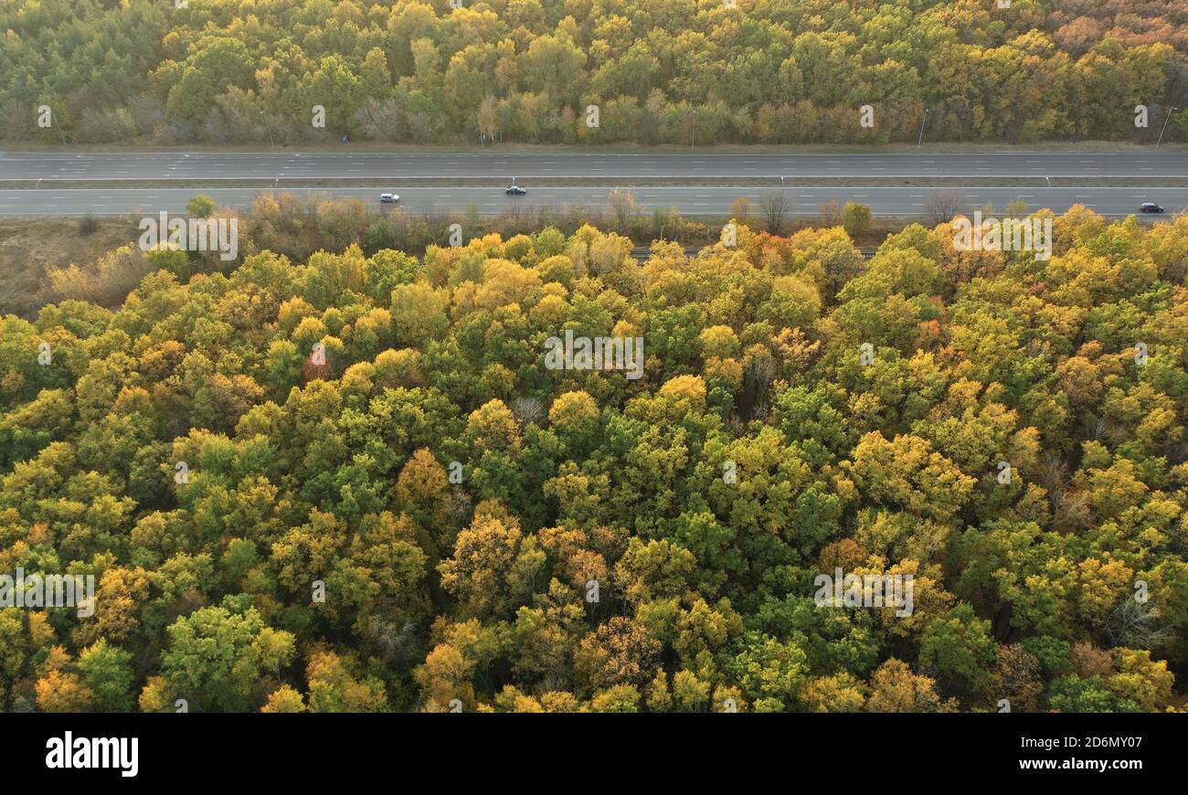 Aerial view of yellow autumn forest and highway Stock Photo - Alamy