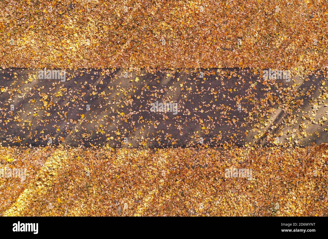 Top view of an autumn footpath with yellow leaves Stock Photo - Alamy