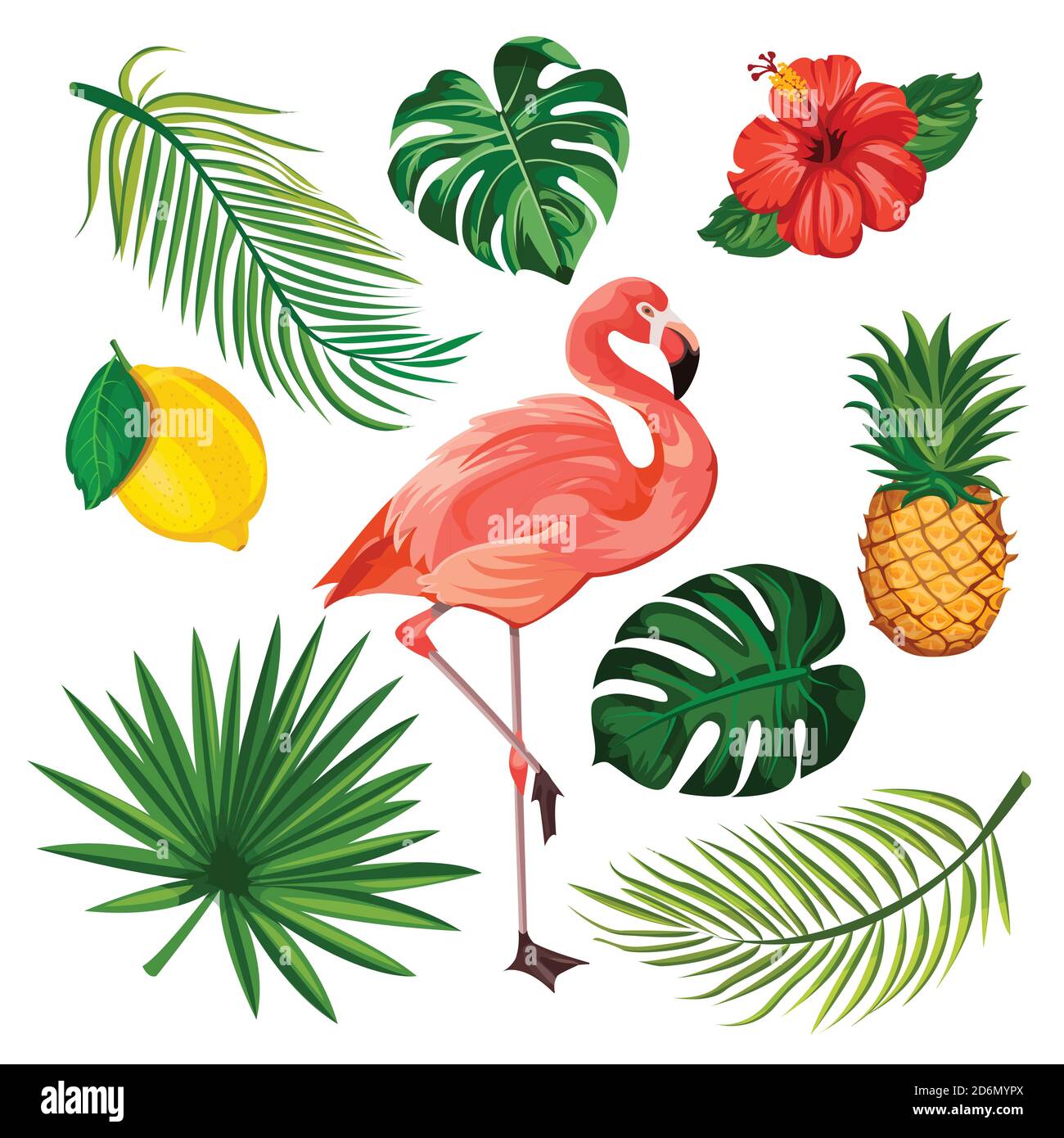 Palm leaves on pink background Cut Out Stock Images & Pictures - Alamy