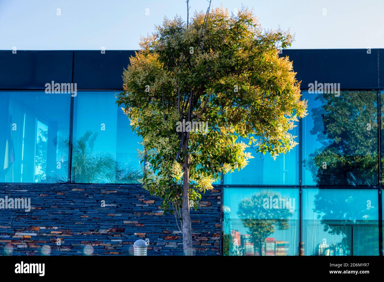 Green glazed building hi-res stock photography and images - Alamy