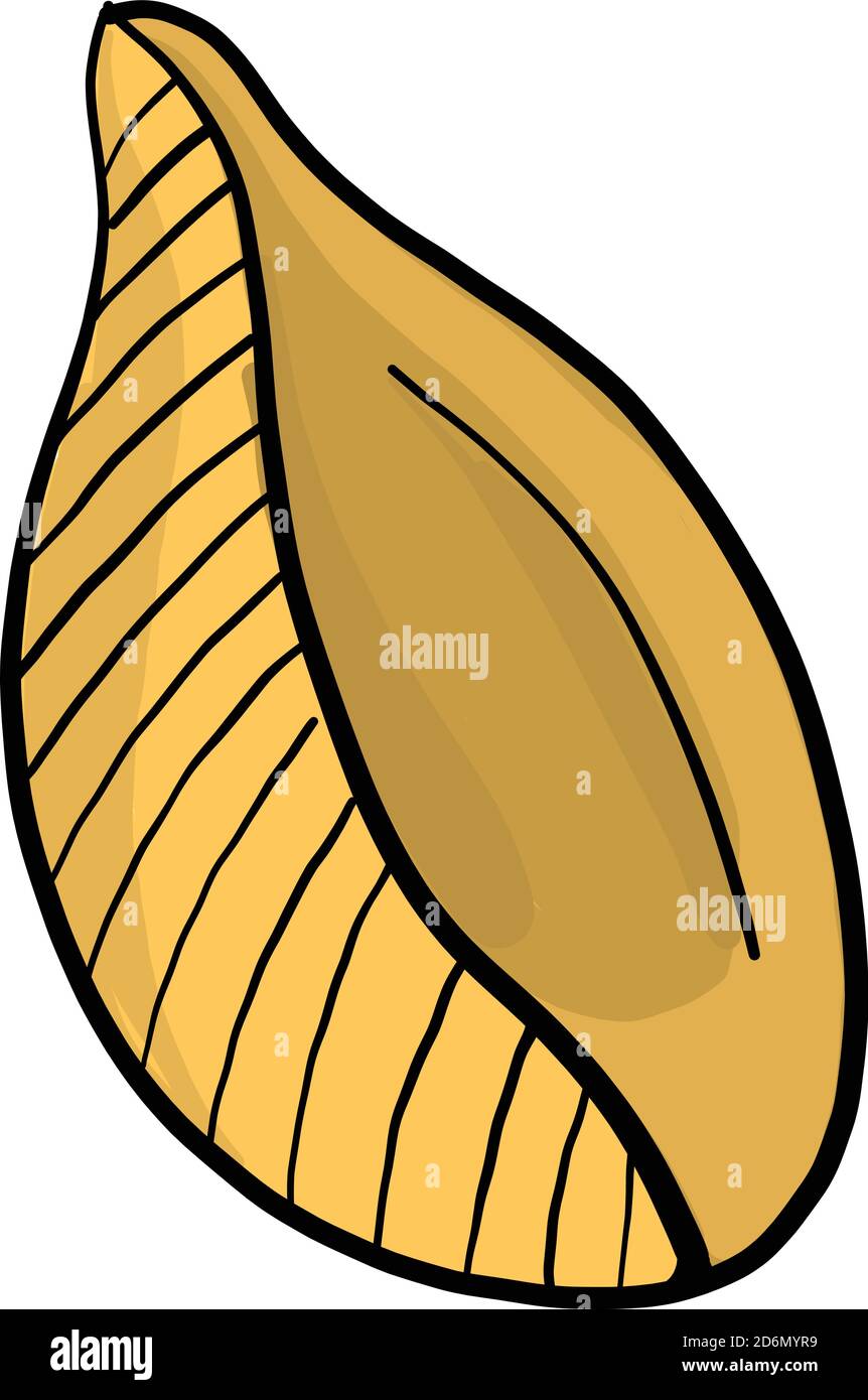 Set italian pasta on Stock Vector Images - Alamy