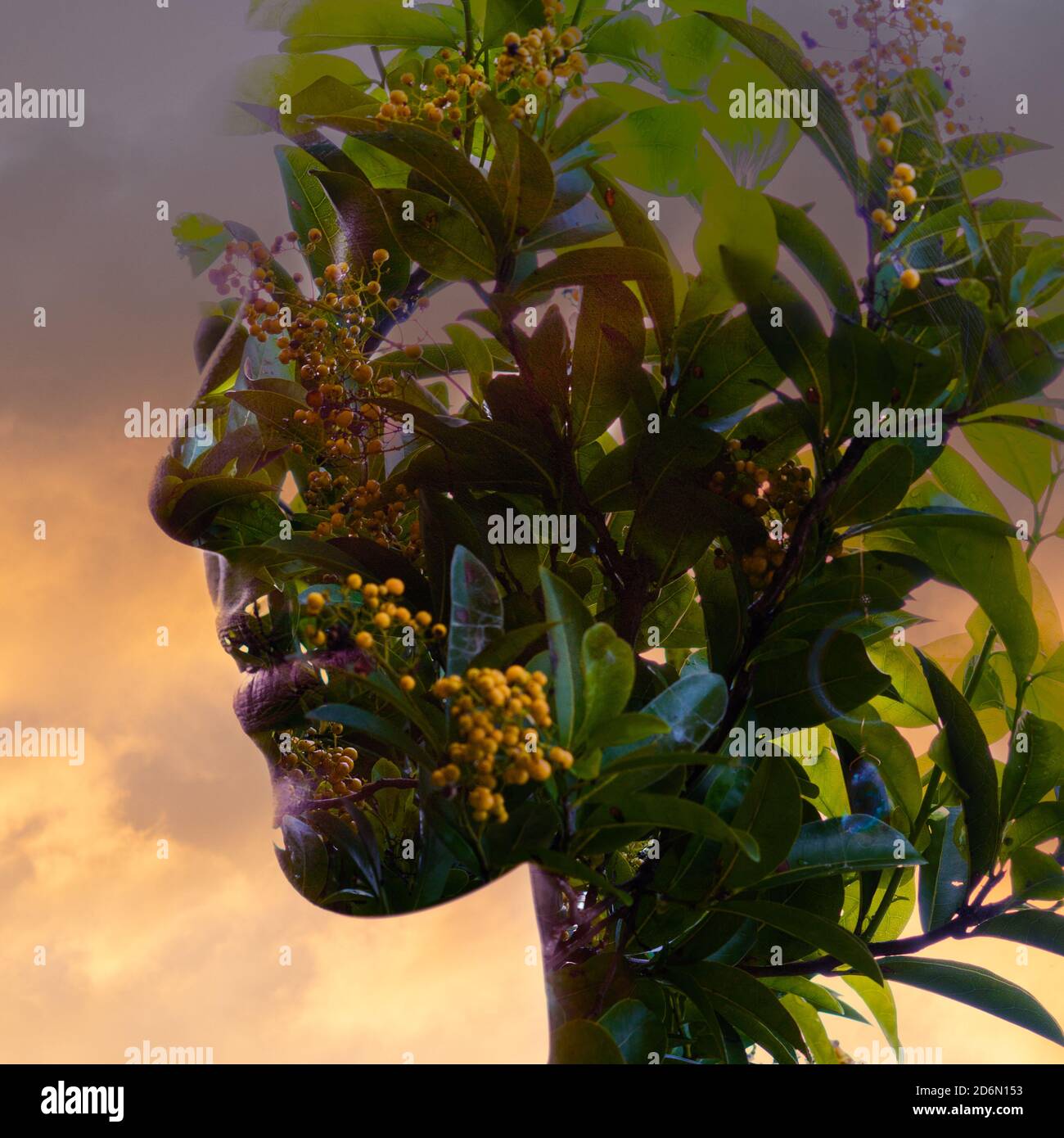 Creative photo manipulation of a portrait Stock Photo - Alamy