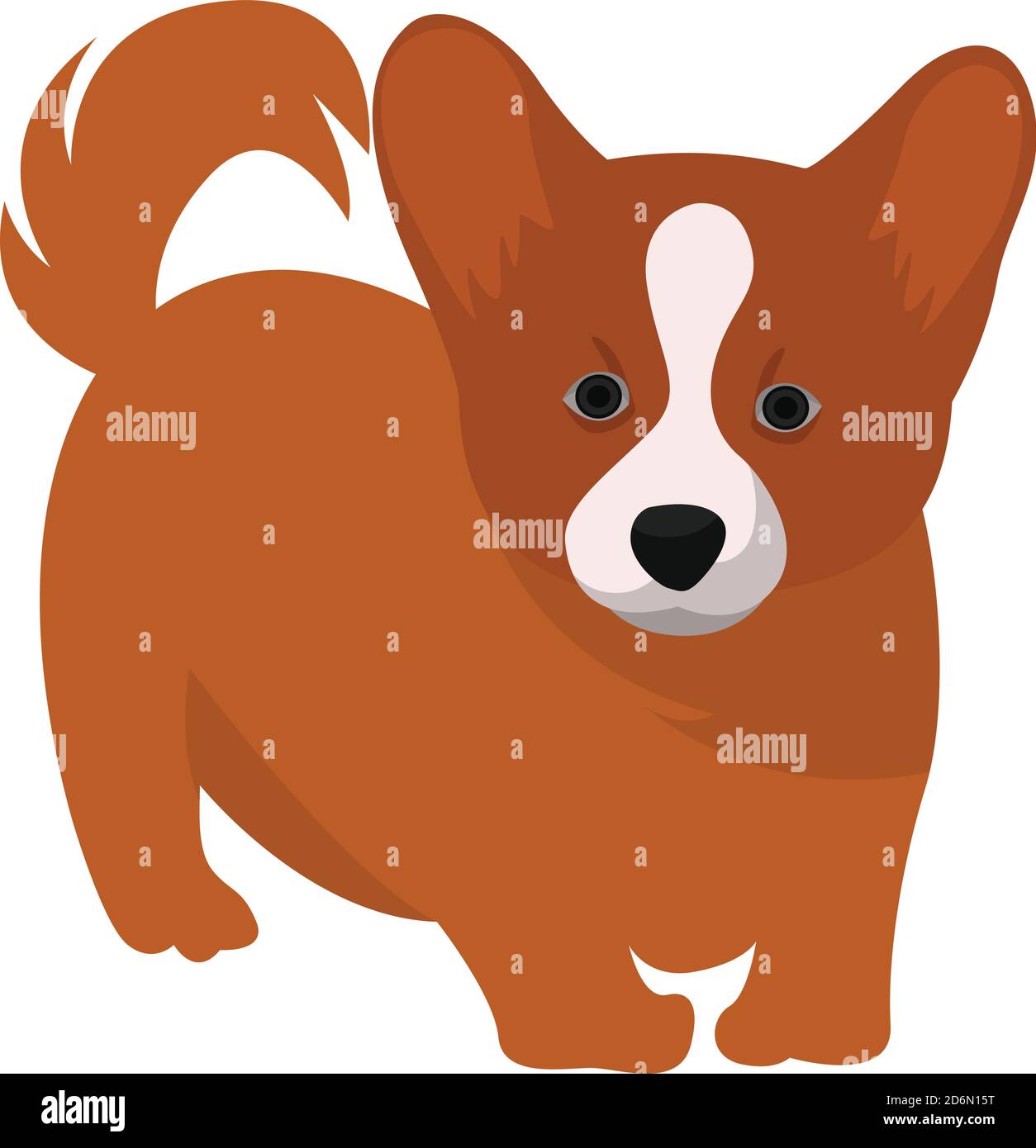 Orange pets Stock Vector Images - Alamy