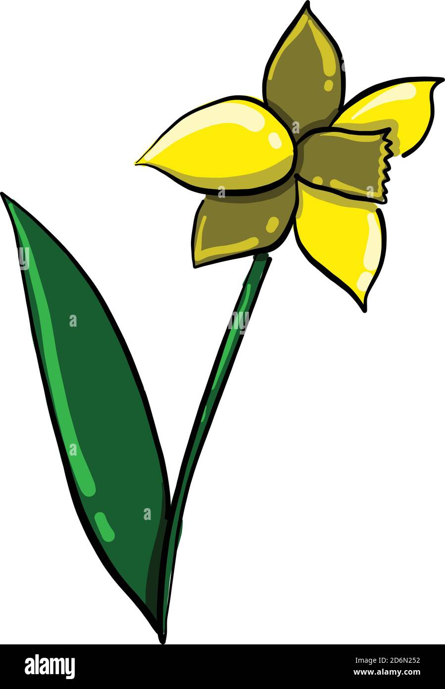 Daffodil vector vectors hi-res stock photography and images - Alamy