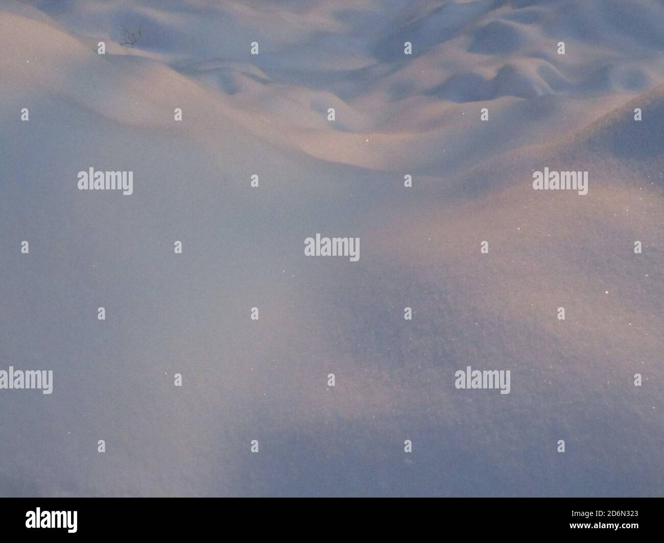 Smooth textured hi-res stock photography and images - Alamy