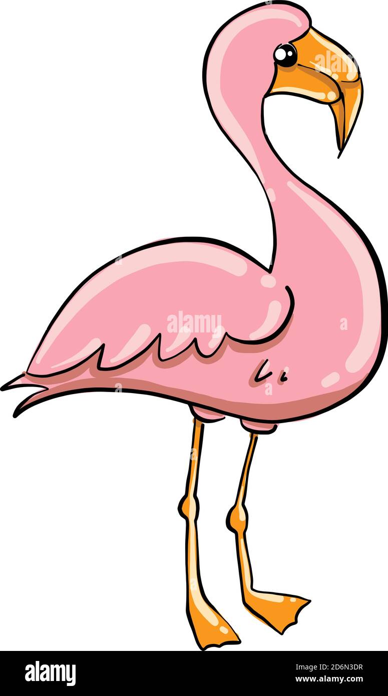 Pink flamingo, illustration, vector on white background Stock Vector ...