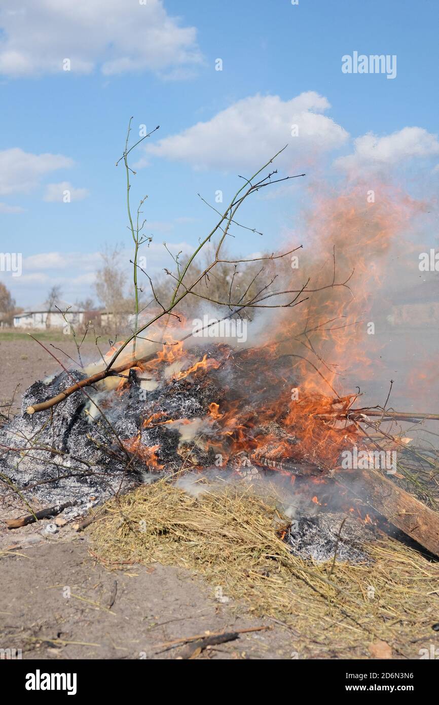Big bonfire in the open air. A pile of ash from burnt boards and ...