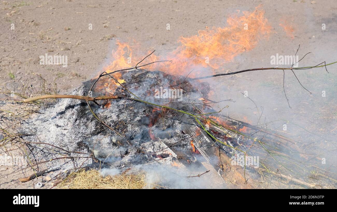 Big bonfire in the open air. A pile of ash from burnt boards and ...
