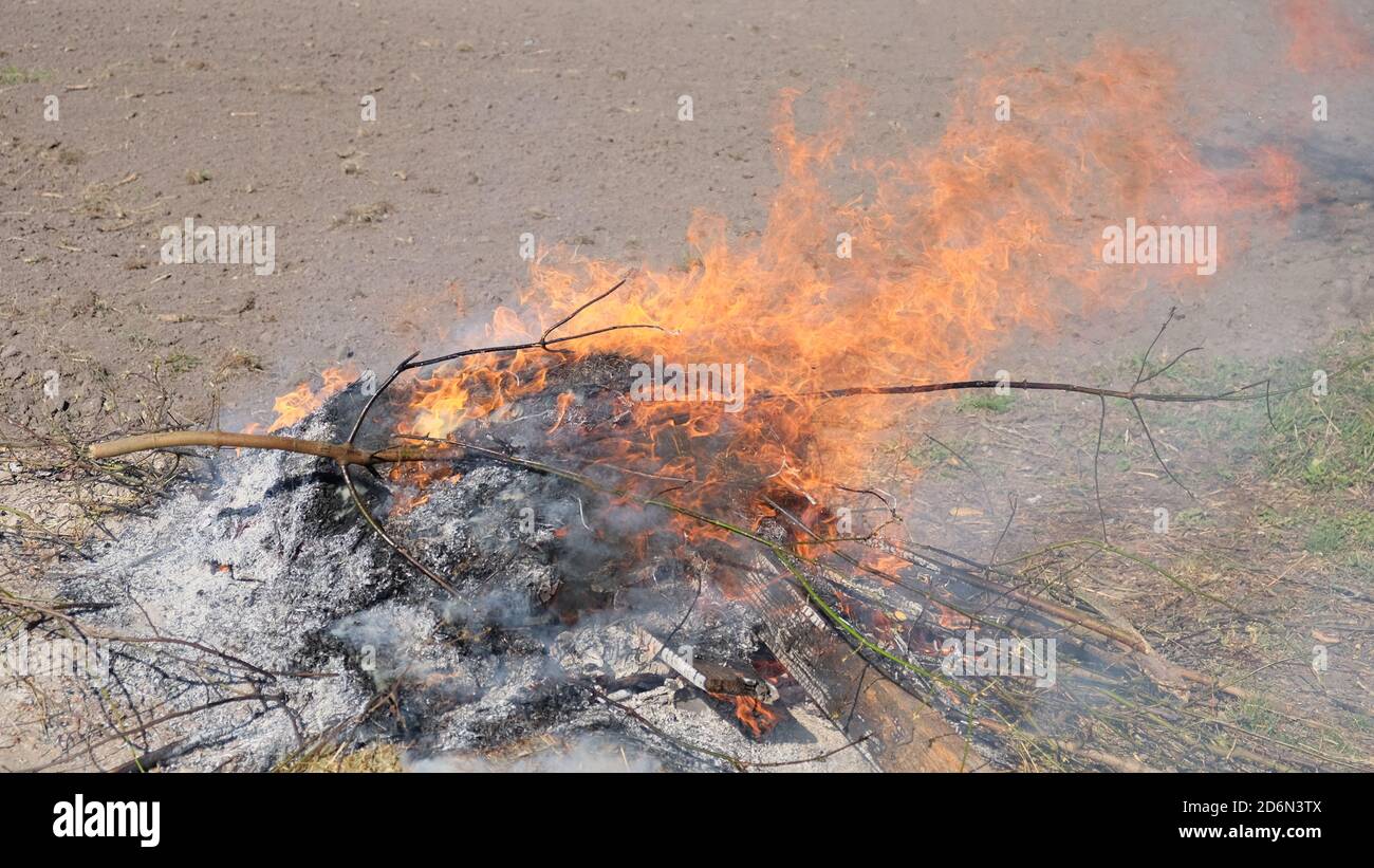 Big bonfire in the open air. A pile of ash from burnt boards and ...