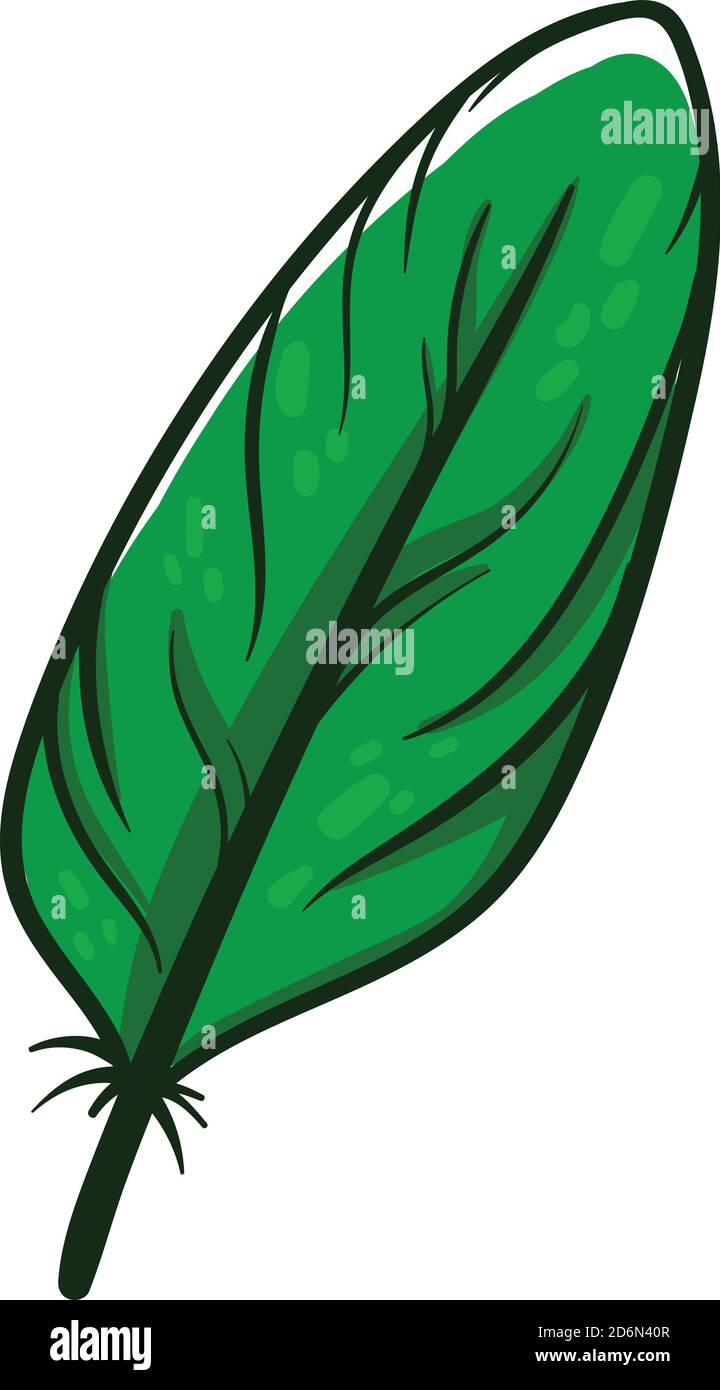 Green feather, illustration, vector on white background Stock Vector ...