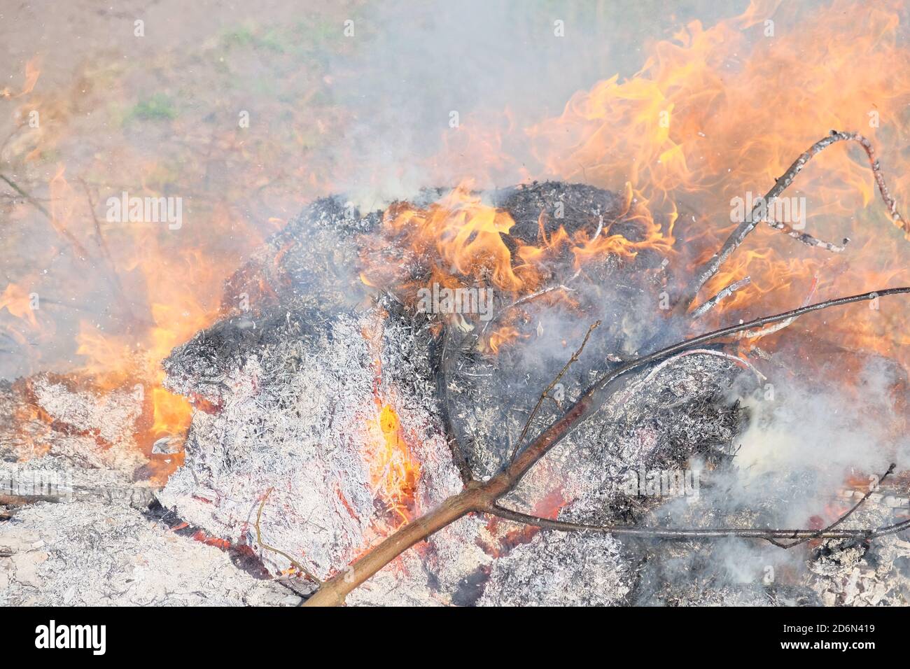 Big bonfire in the open air. A pile of ash from burnt boards and ...