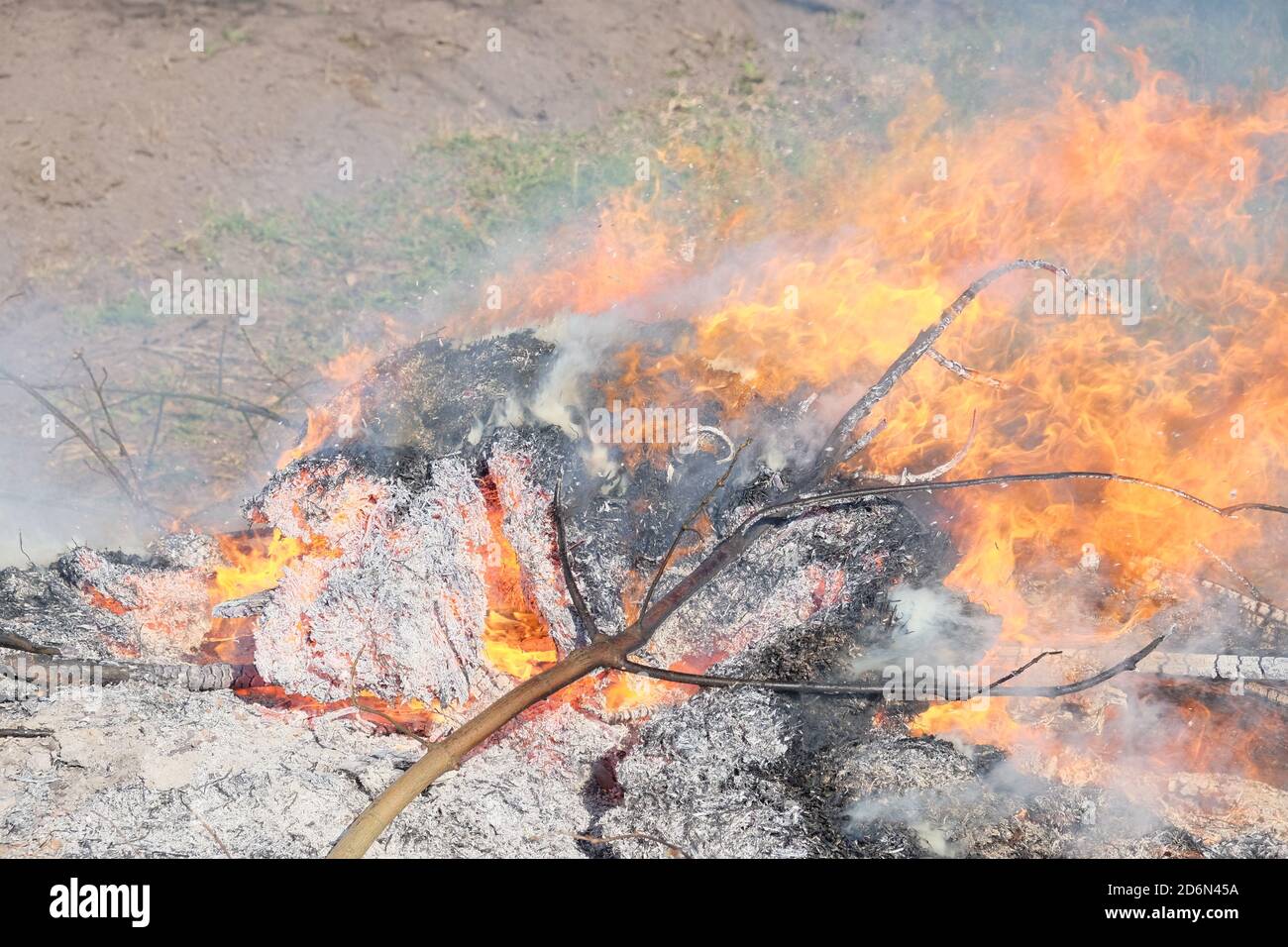 Big bonfire in the open air. A pile of ash from burnt boards and ...