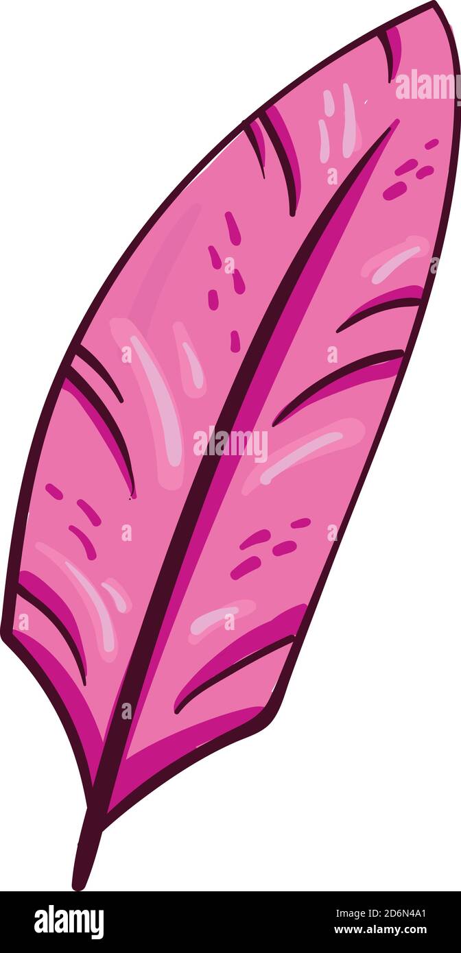 Pink feather, illustration, vector on white background Stock Vector ...