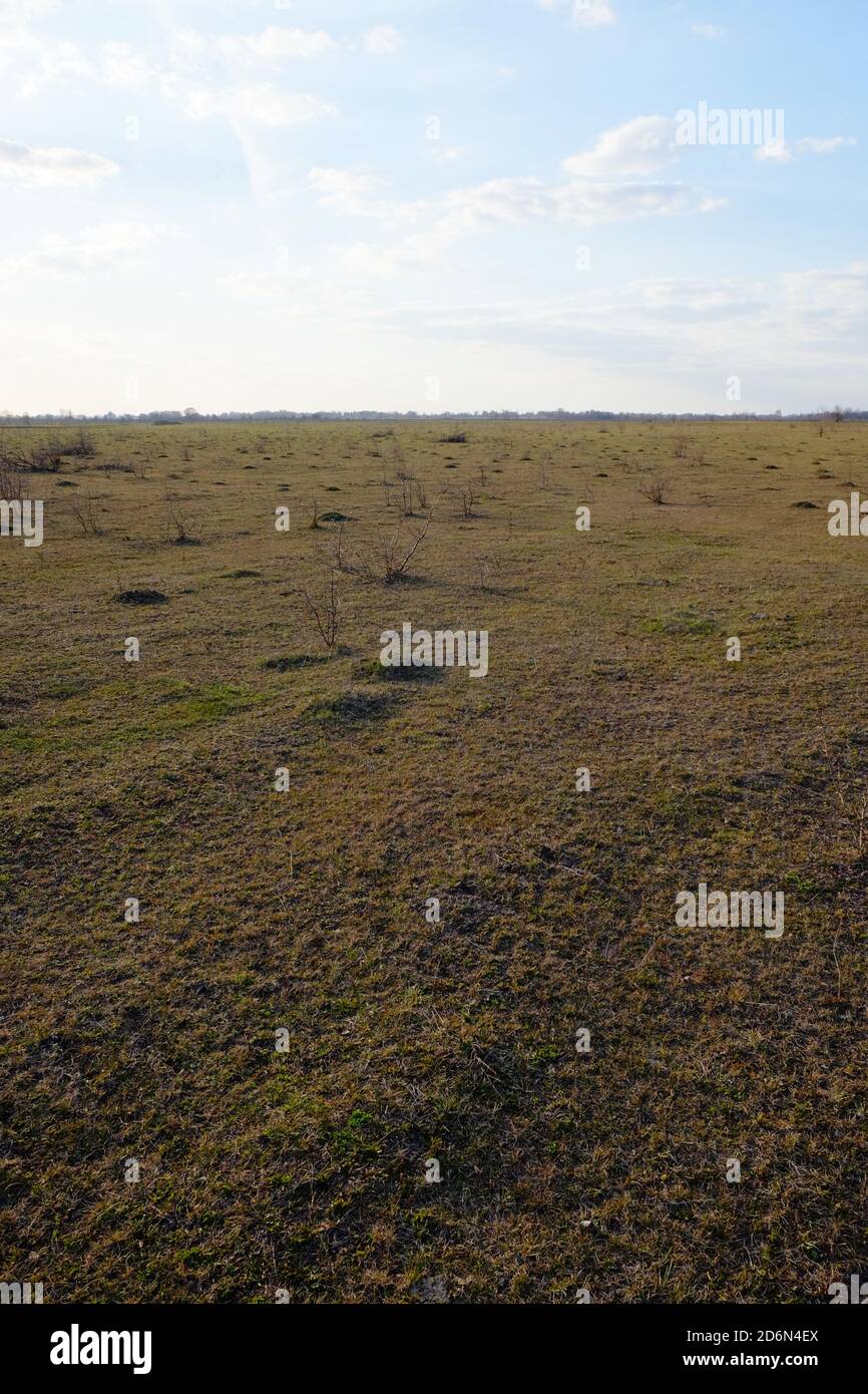 Vast expanses of steppe. The sky over the grassy field. Landscape Stock ...