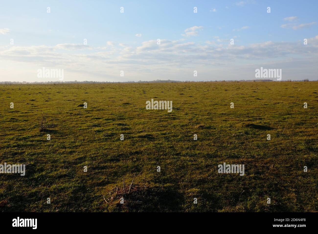 Vast expanses of steppe. The sky over the grassy field. Landscape Stock ...