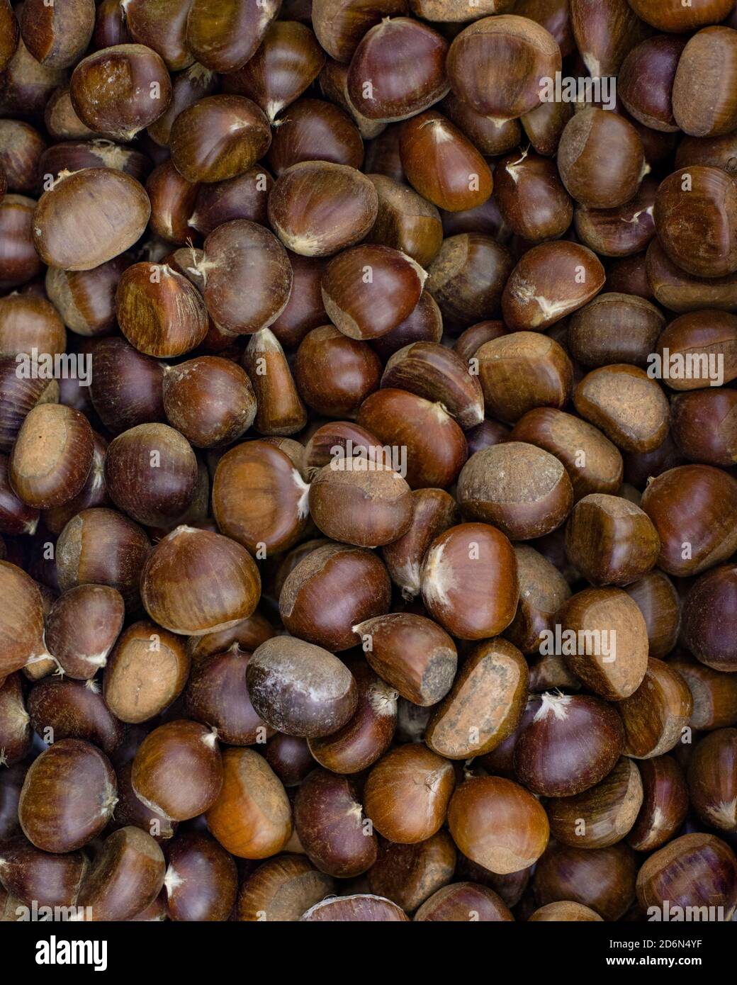 Edible chestnuts, brown walnut background backdrop vertical. Raw ...