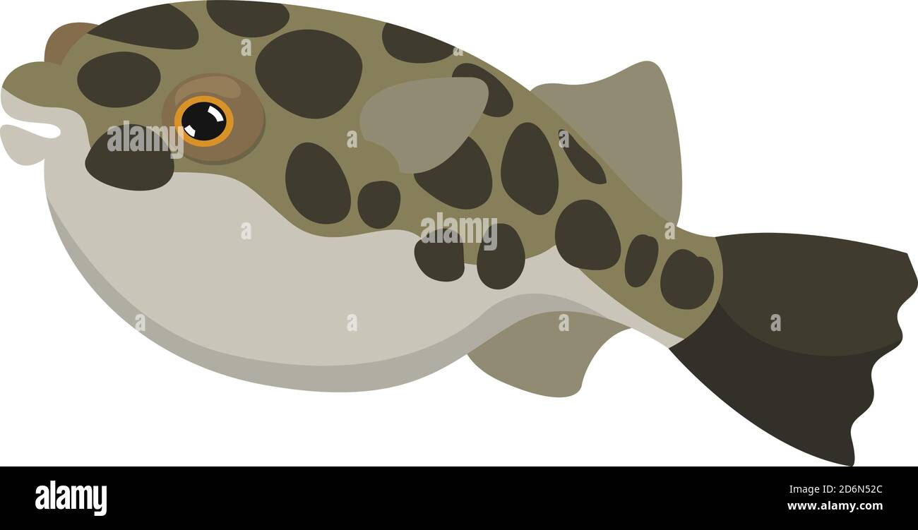 Fugu fish, illustration, vector on white background Stock Vector Image ...