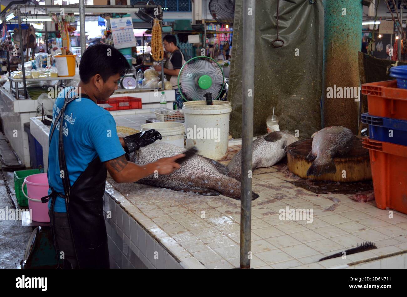 Bangkok, Thailand - Fish Vendor Stock Photo - Alamy