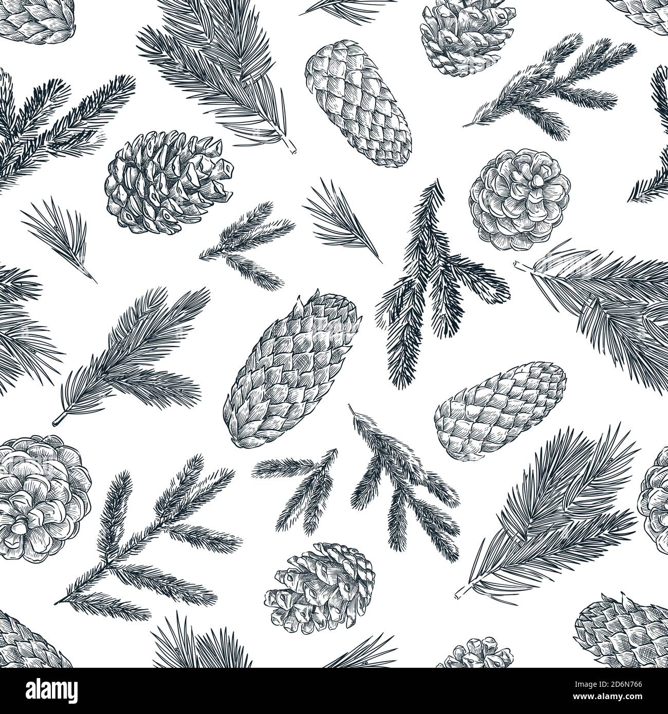 Fir tree cones black Stock Vector Images - Alamy