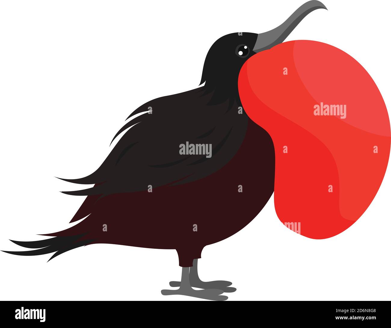 Magnificent frigate Stock Vector Images - Alamy