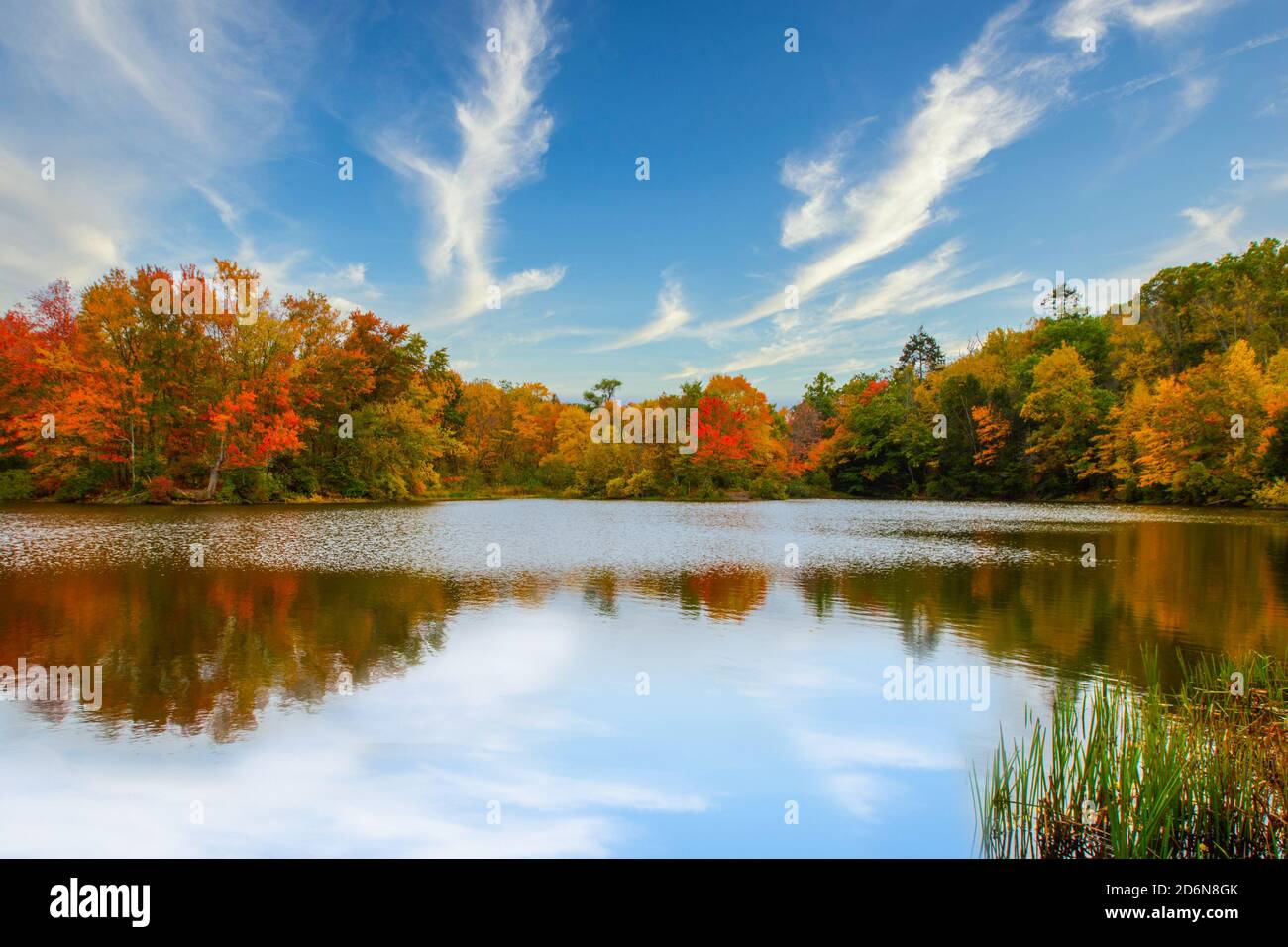 Reflective pond hi-res stock photography and images - Alamy
