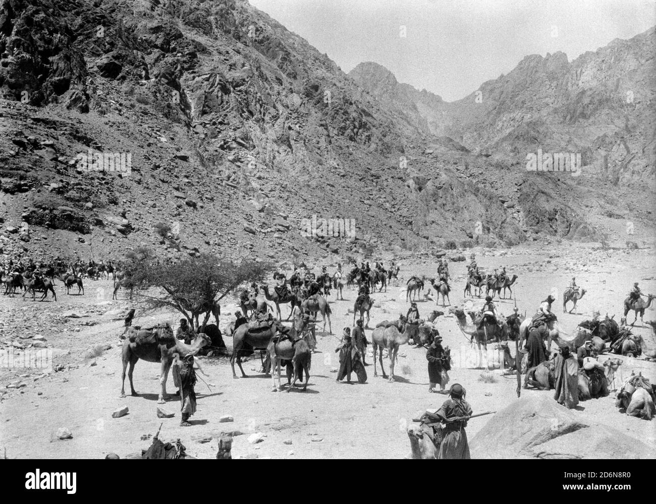 T e lawrence hi-res stock photography and images - Alamy