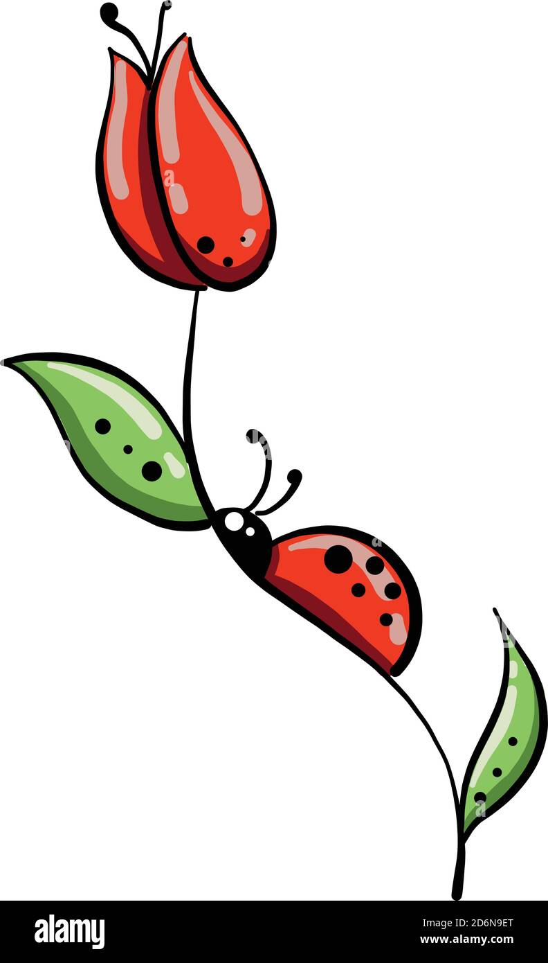 Ladybug on a flower, illustration, vector on white background Stock ...
