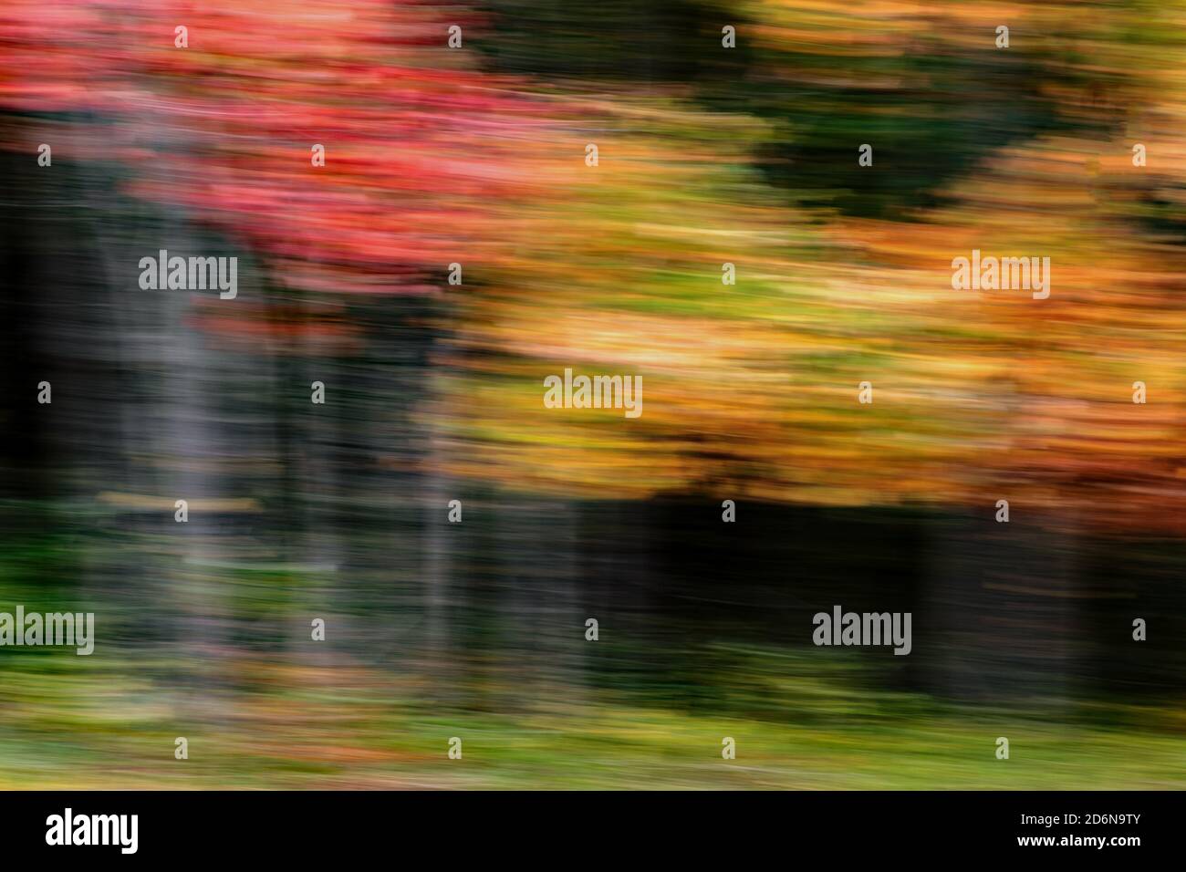Abstract shapes in nature photography hi-res stock photography and ...
