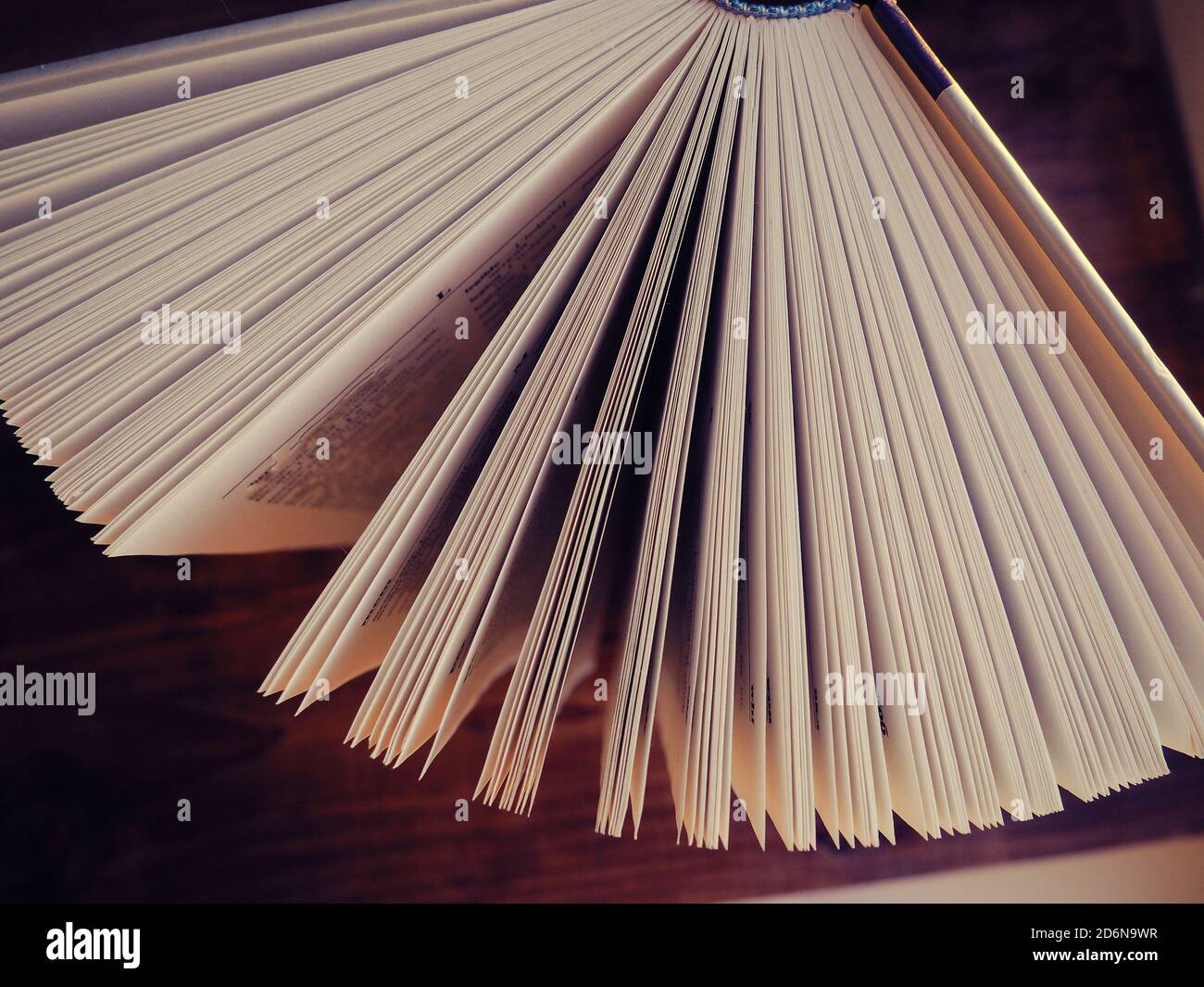 open book, many sheets of fans top view, as a background for the design ...
