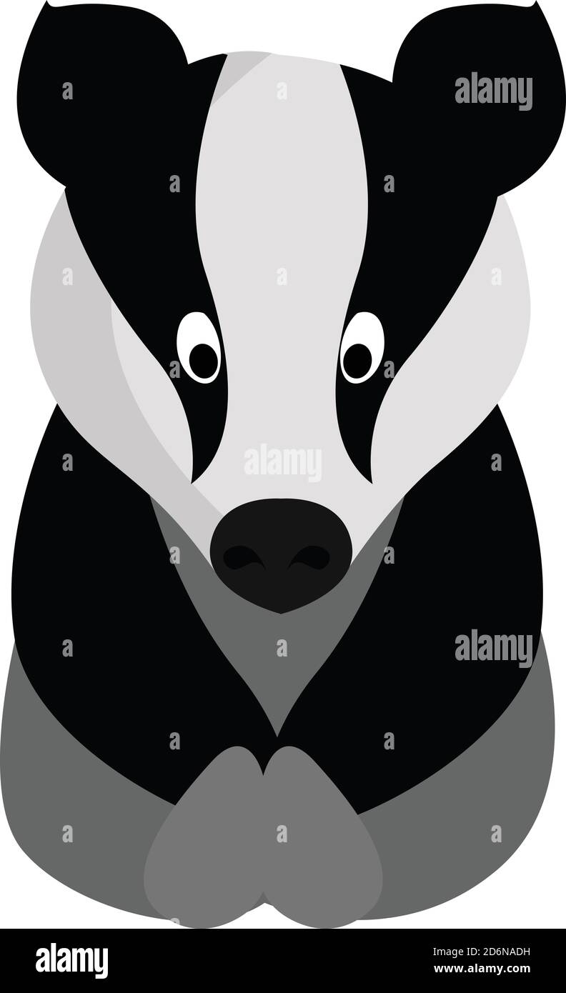 Little badger, illustration, vector on white background Stock Vector ...