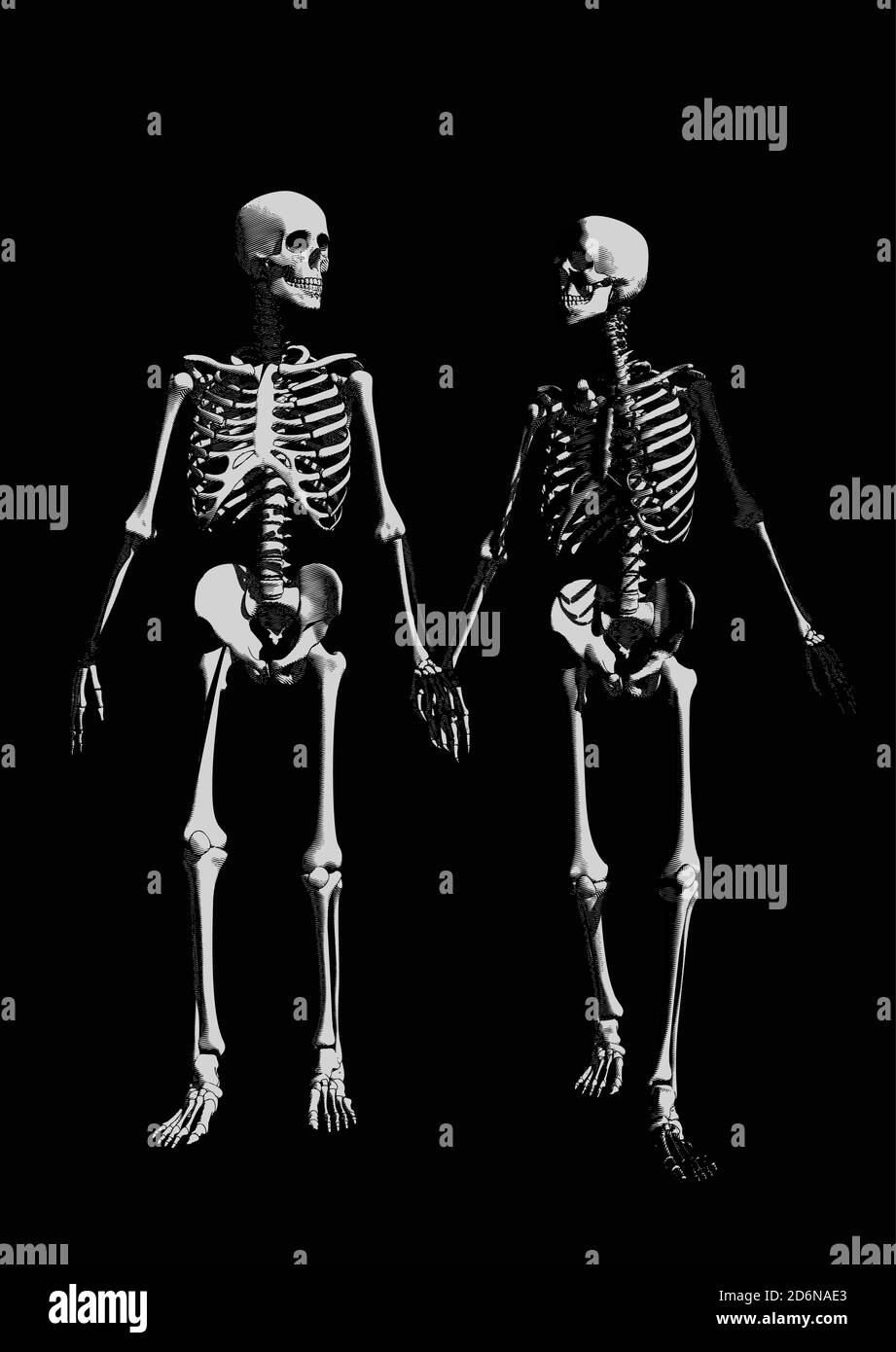 Hand holding skull Black and White Stock Photos & Images - Alamy