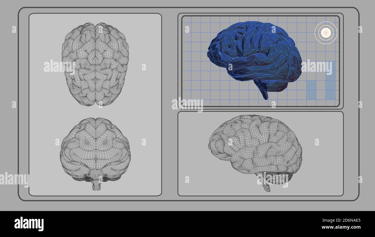 Brain wireframe in various view on computer graphic control panel ...