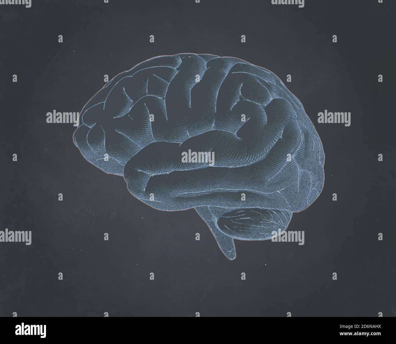 Engraving brain side view with chalk negative drawing illustration on ...