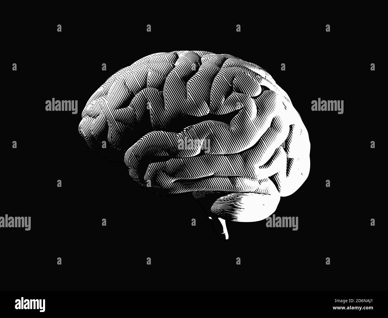 Engraving brain side view with dark lighting mood drawing on black ...