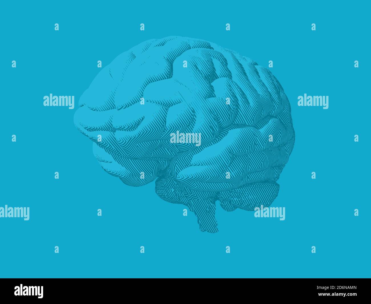 Engraving light blue brain in oblique perspective view isolated on blue ...