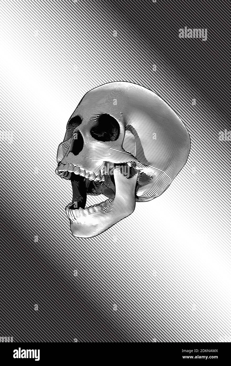 Screaming Skull Side View