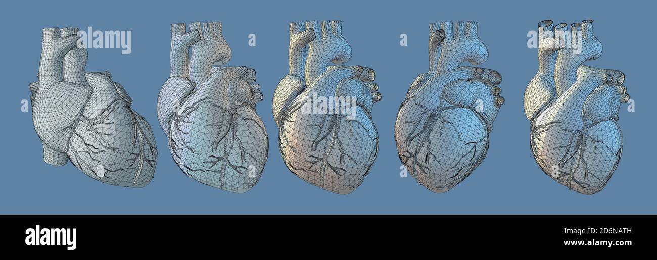 Vector human heart in 3D shading style with triangular wireframe in ...