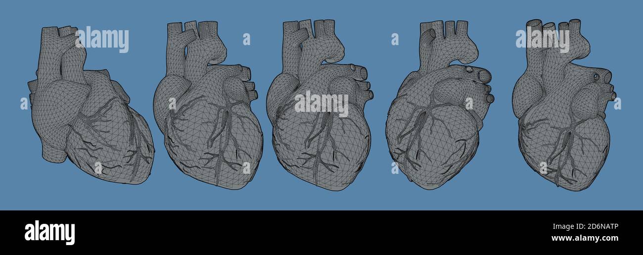 Vector human heart in flat gray shading style with triangular 3D ...