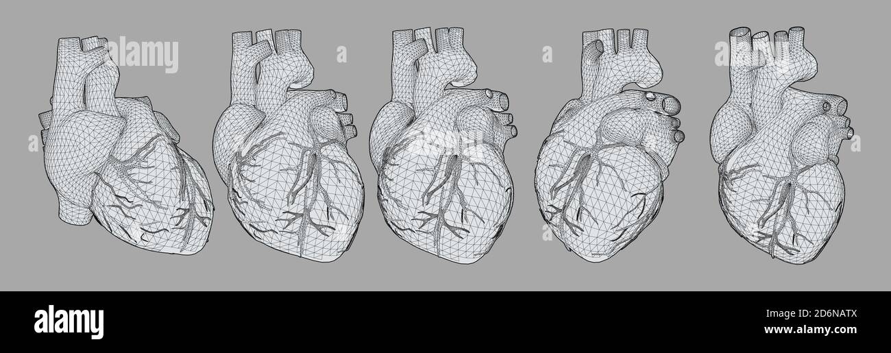 Vector human heart in flat shading style with triangular 3D wireframe ...