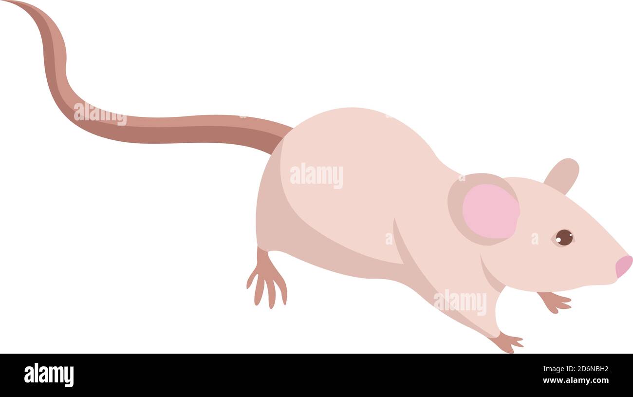 Laboratory mouse, illustration, vector on white background Stock Vector ...