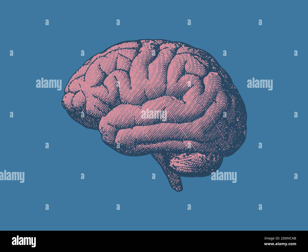 Pink engraving drawing brain illustration isolated on blue green ...