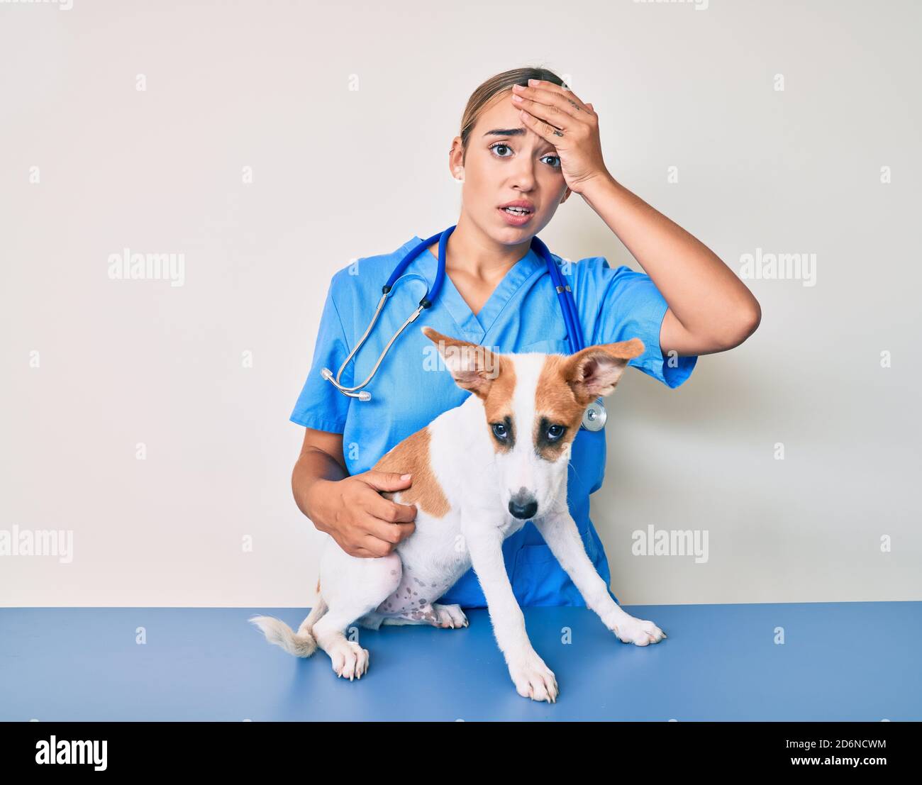 Dog angry veterinarian hi-res stock photography and images - Alamy