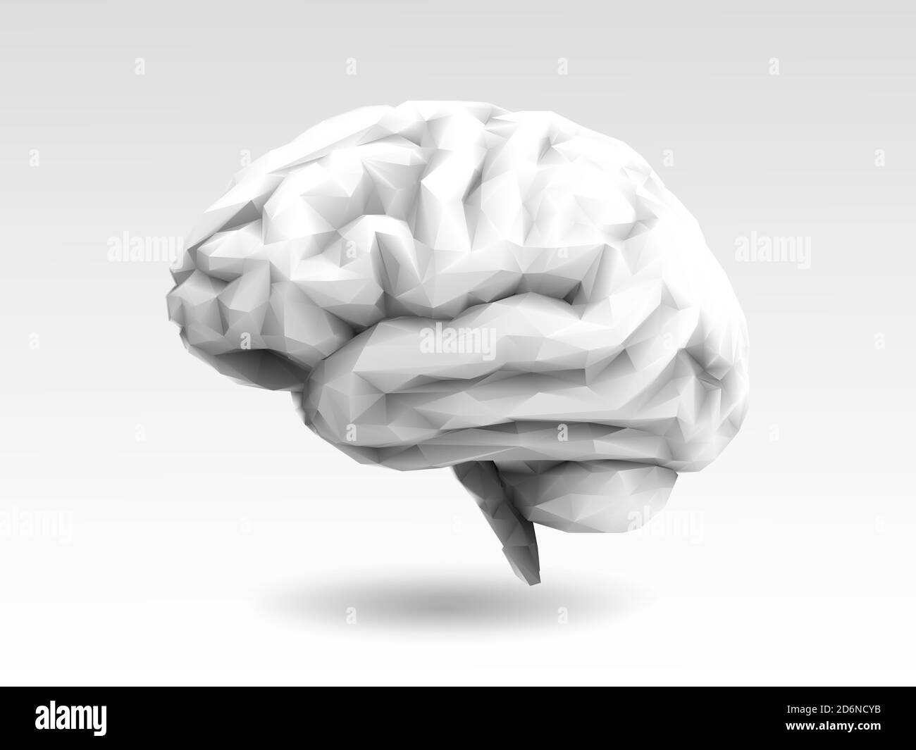 Monochrome low poly stylized brain with 3D shading illustration on ...