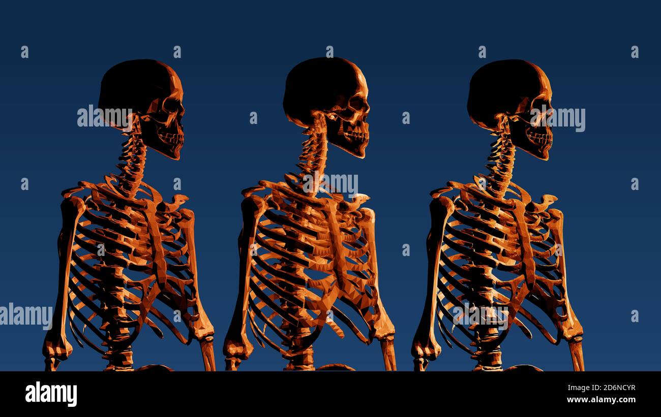 Orange low poly skeleton portrait side view on dark blue background ...