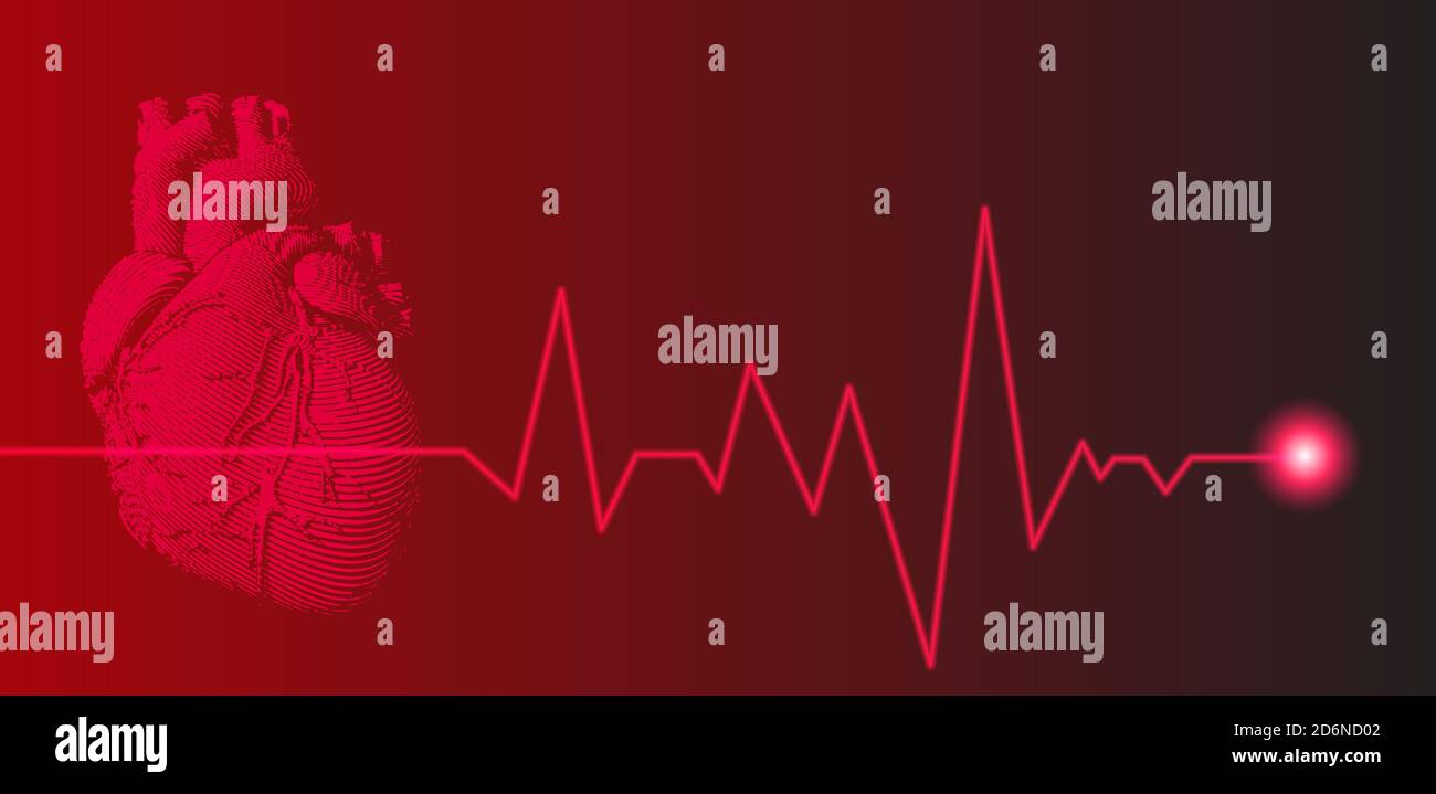 Red human heart illustration with heart rate pulse graph on dark ...