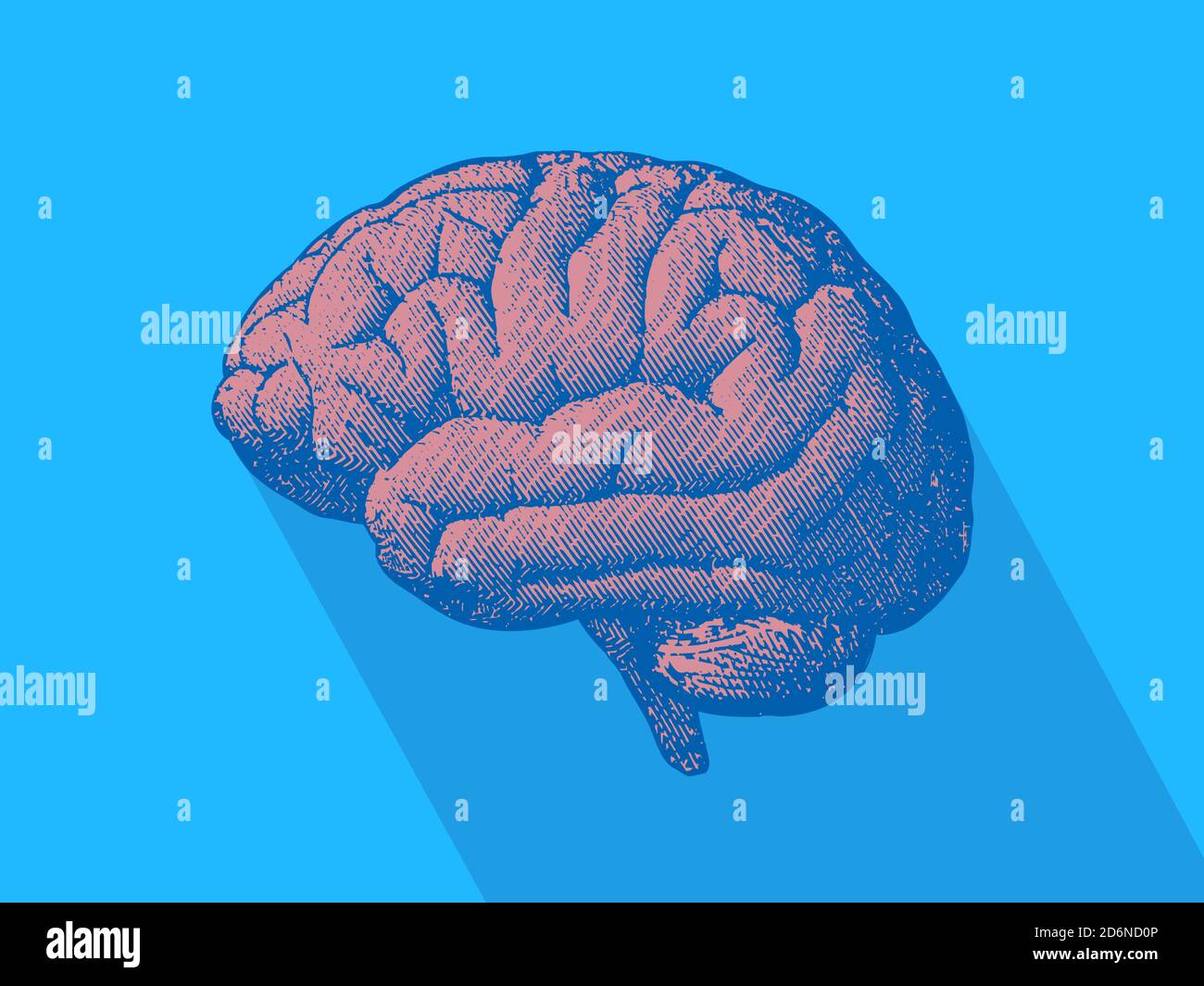 Side view brain engraving drawing in monochrome on light blue ...