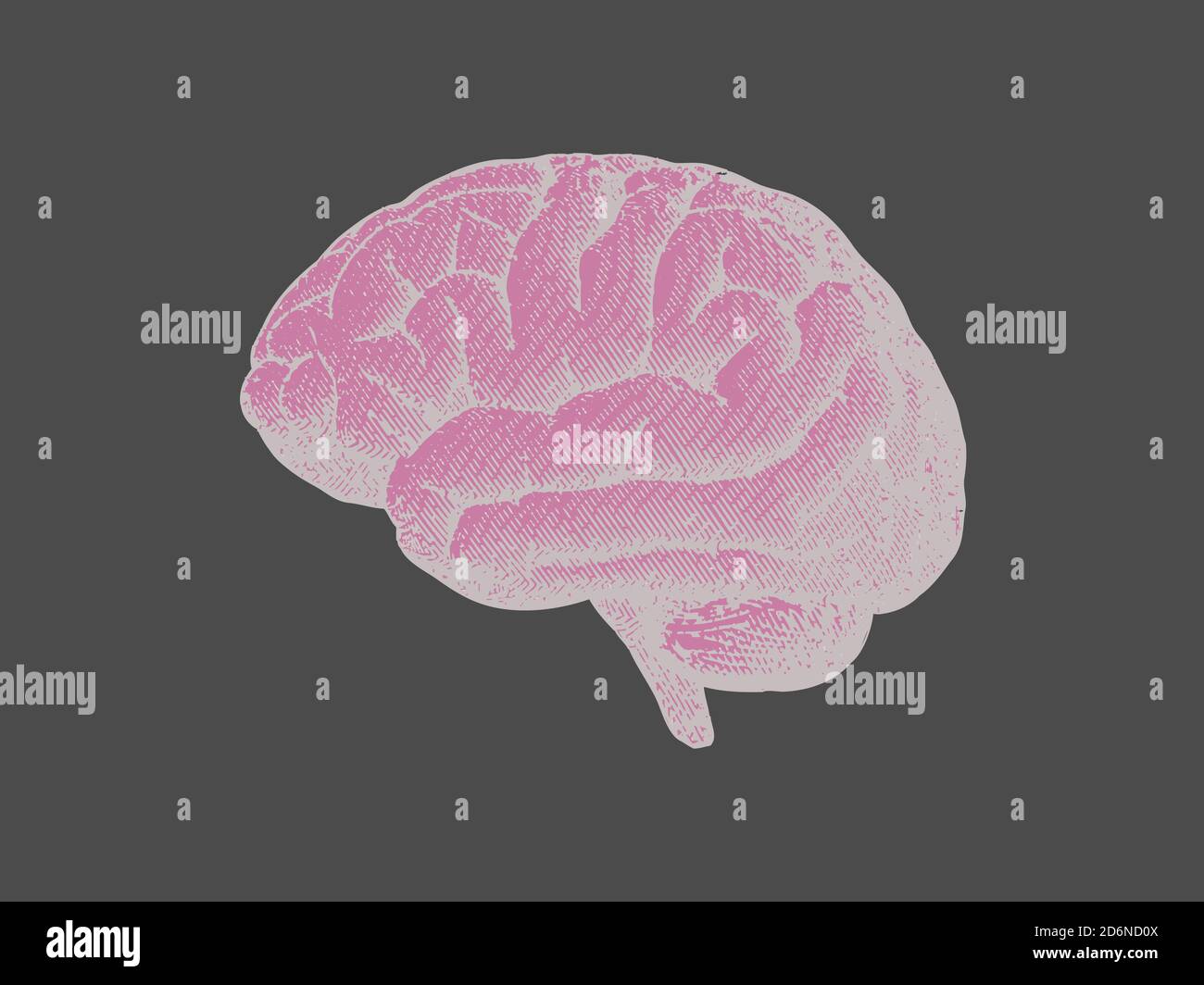 Line drawing brain side view hi-res stock photography and images - Alamy